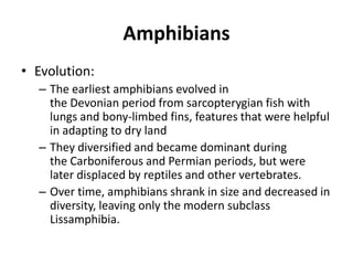 AMPHIBIANS CLASSIFICATION.pptx