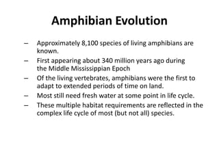 AMPHIBIANS CLASSIFICATION.pptx