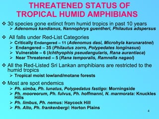 Amphibians Humid Tropics | PPT