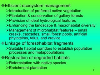 Amphibians Humid Tropics | PPT