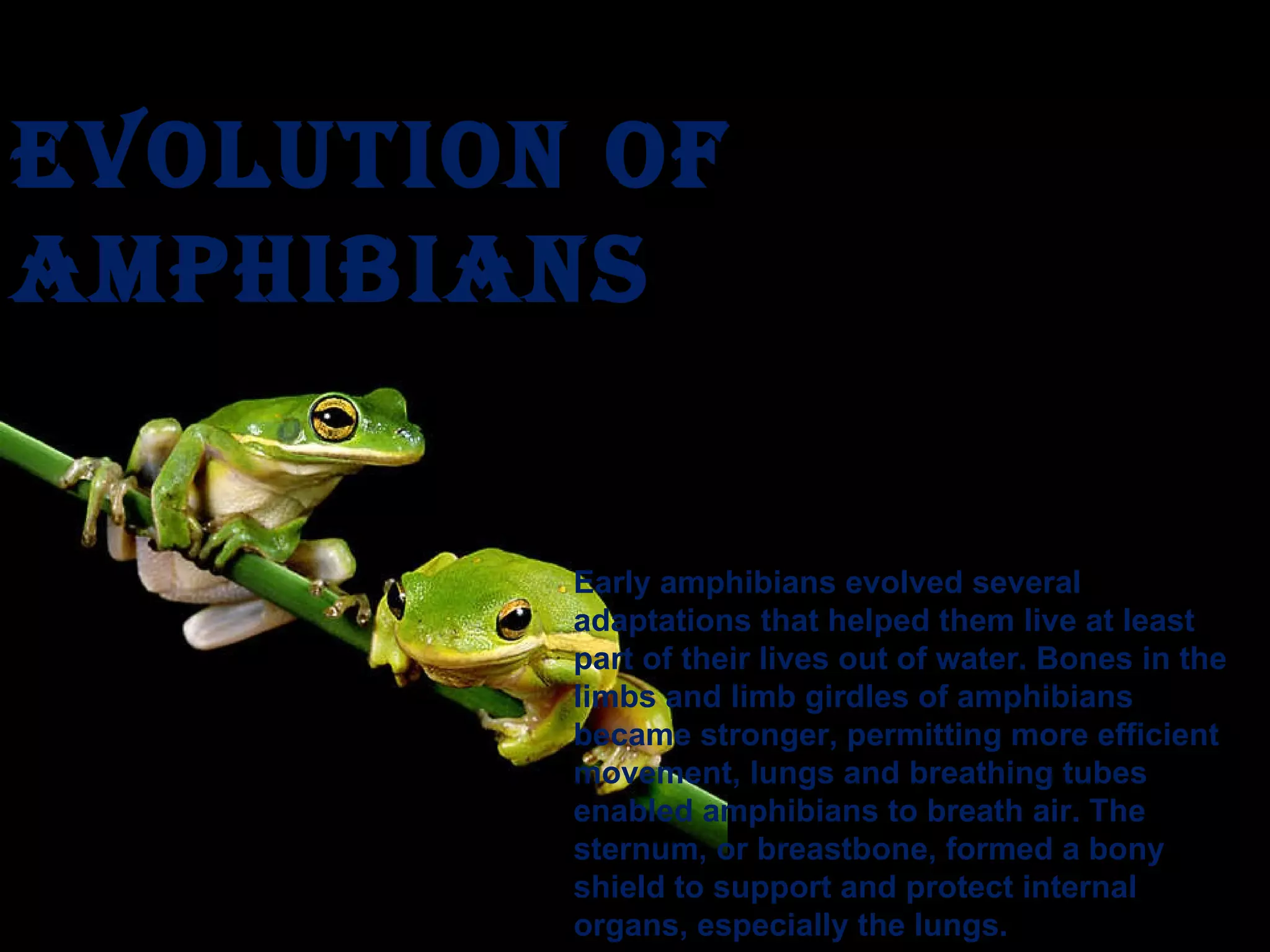 Amphibians intro | PPT