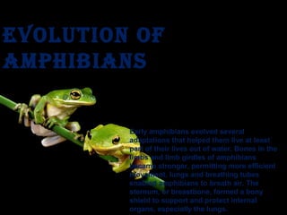 Amphibians intro | PPT