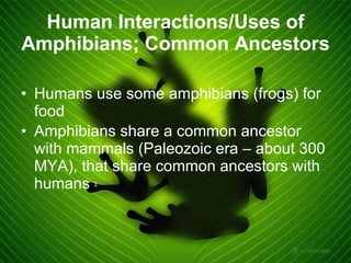 Amphibians karina siyana_10.7 | PPT