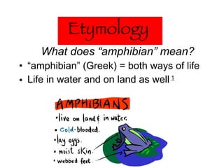 Amphibians karina siyana_10.7 | PPT