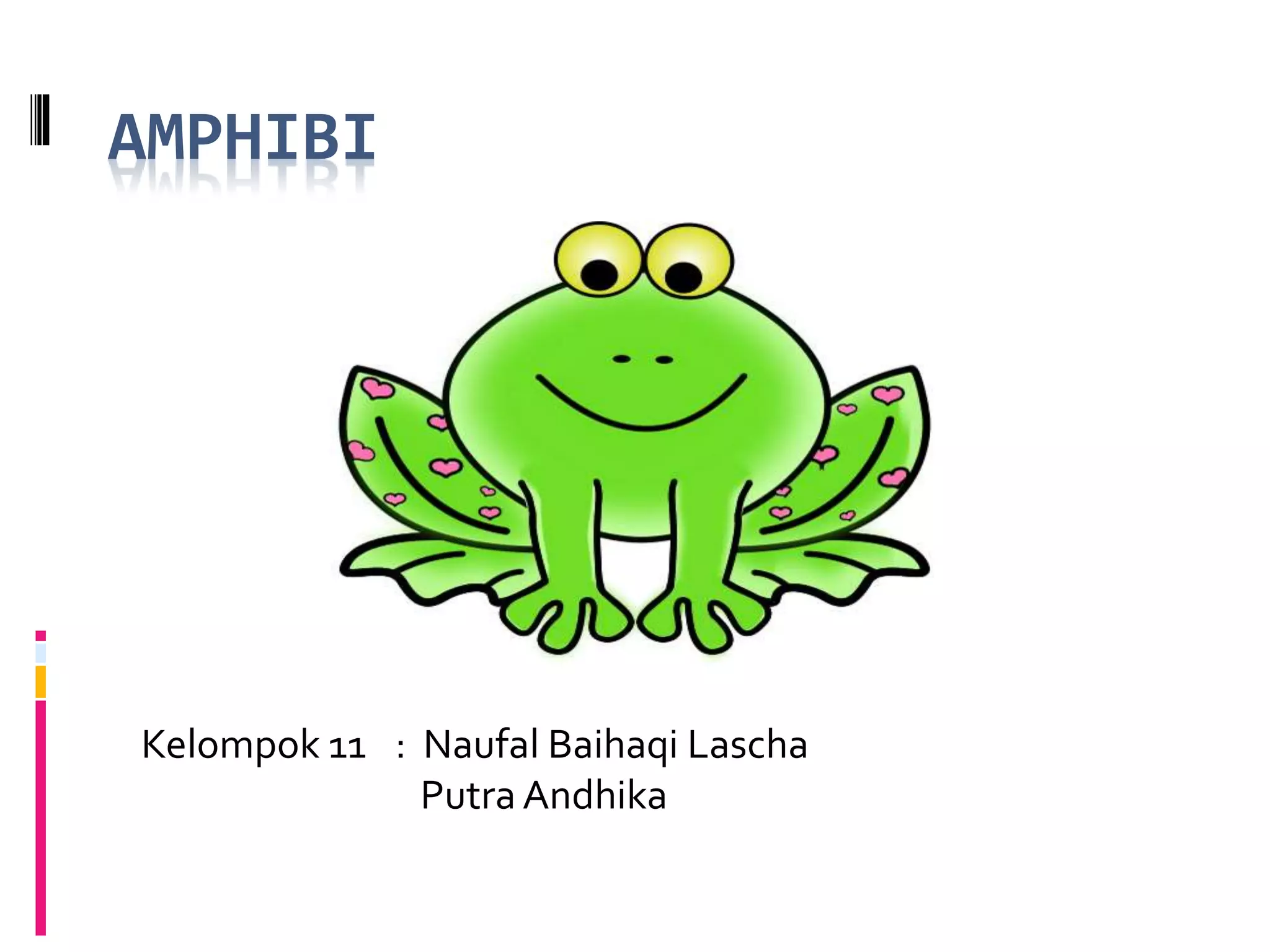 Biologi Animalia SMA Kelas 10 Amphibia | PPTX