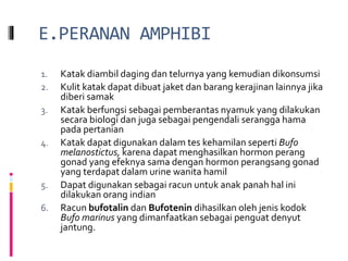 Biologi Animalia SMA Kelas 10 Amphibia | PPTX