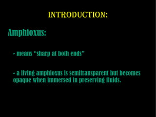 activity 2 - amphioxus | PPT