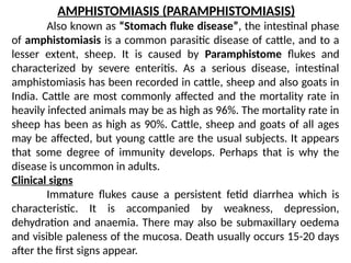 Amphistomiasis, ascariasis etc..pptx ppt | PPTX