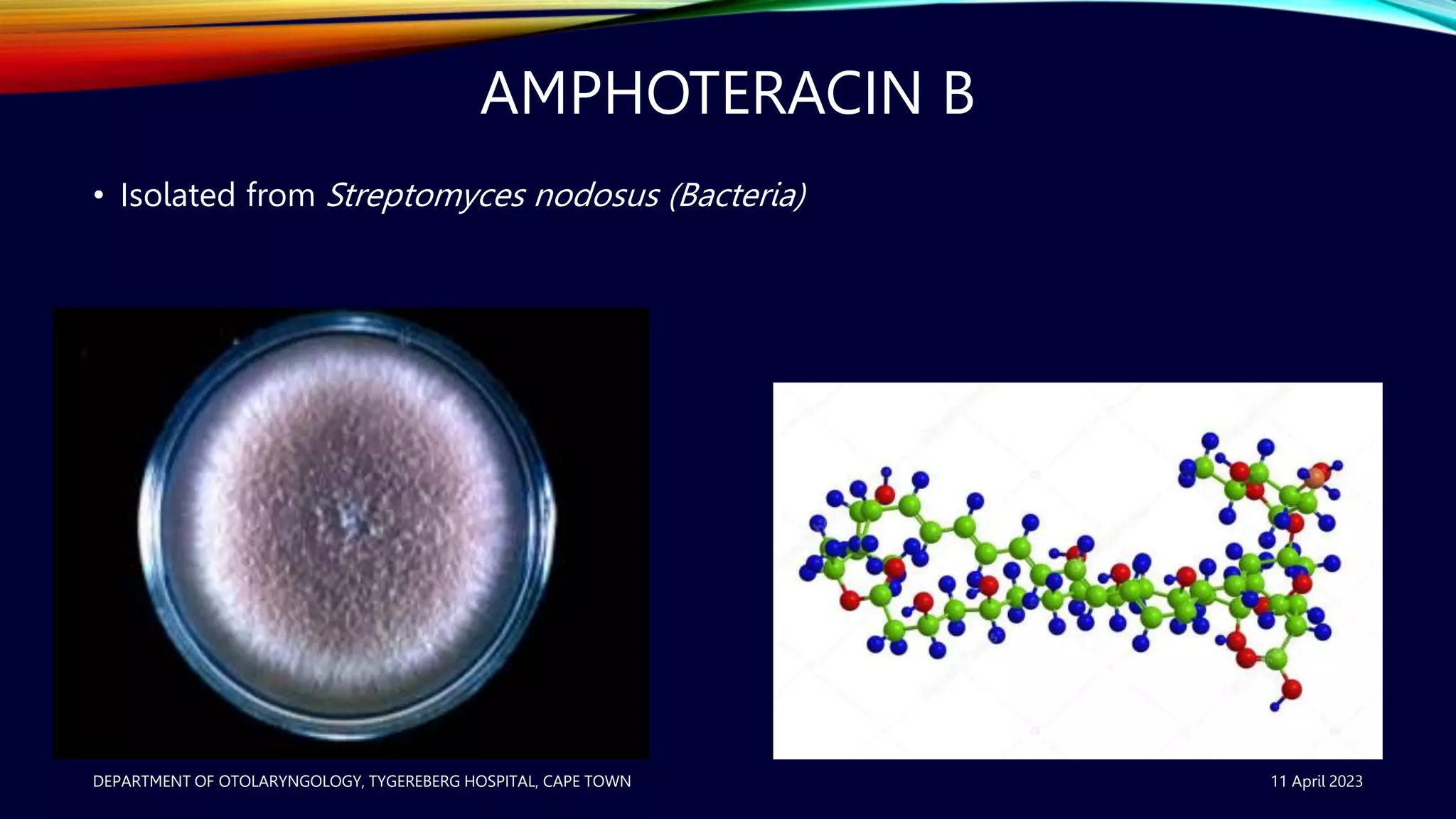 AMPHOTERACIN B IN SOUTH AFRICA | PPT