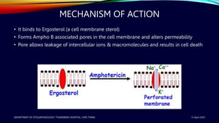 Amphoteracin B | PPTX