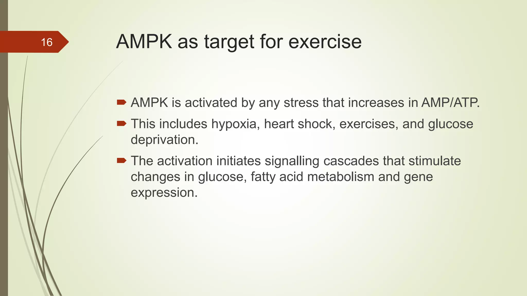 adenosine monophosphate kinase | PPTX