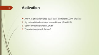 adenosine monophosphate kinase | PPTX