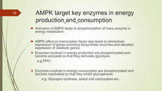 adenosine monophosphate kinase | PPTX