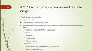 adenosine monophosphate kinase | PPTX