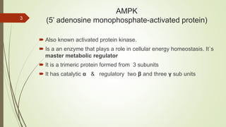 adenosine monophosphate kinase | PPTX