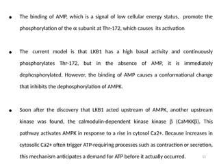 Amf activated protein kinase pathway .pptx