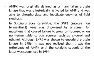 Amf activated protein kinase pathway .pptx