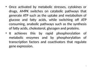 Amf activated protein kinase pathway .pptx