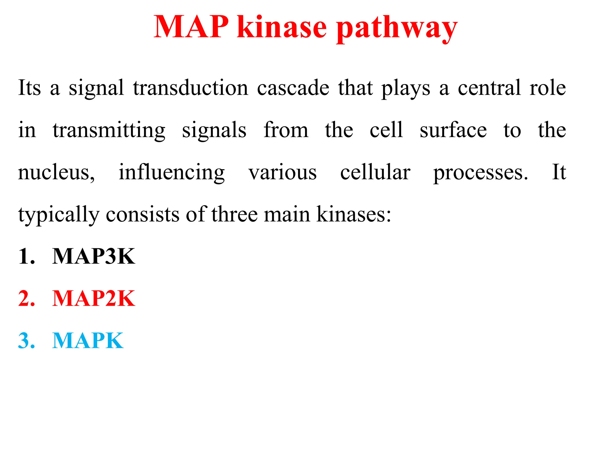AMP Kinease.pptx............................... | PPTX