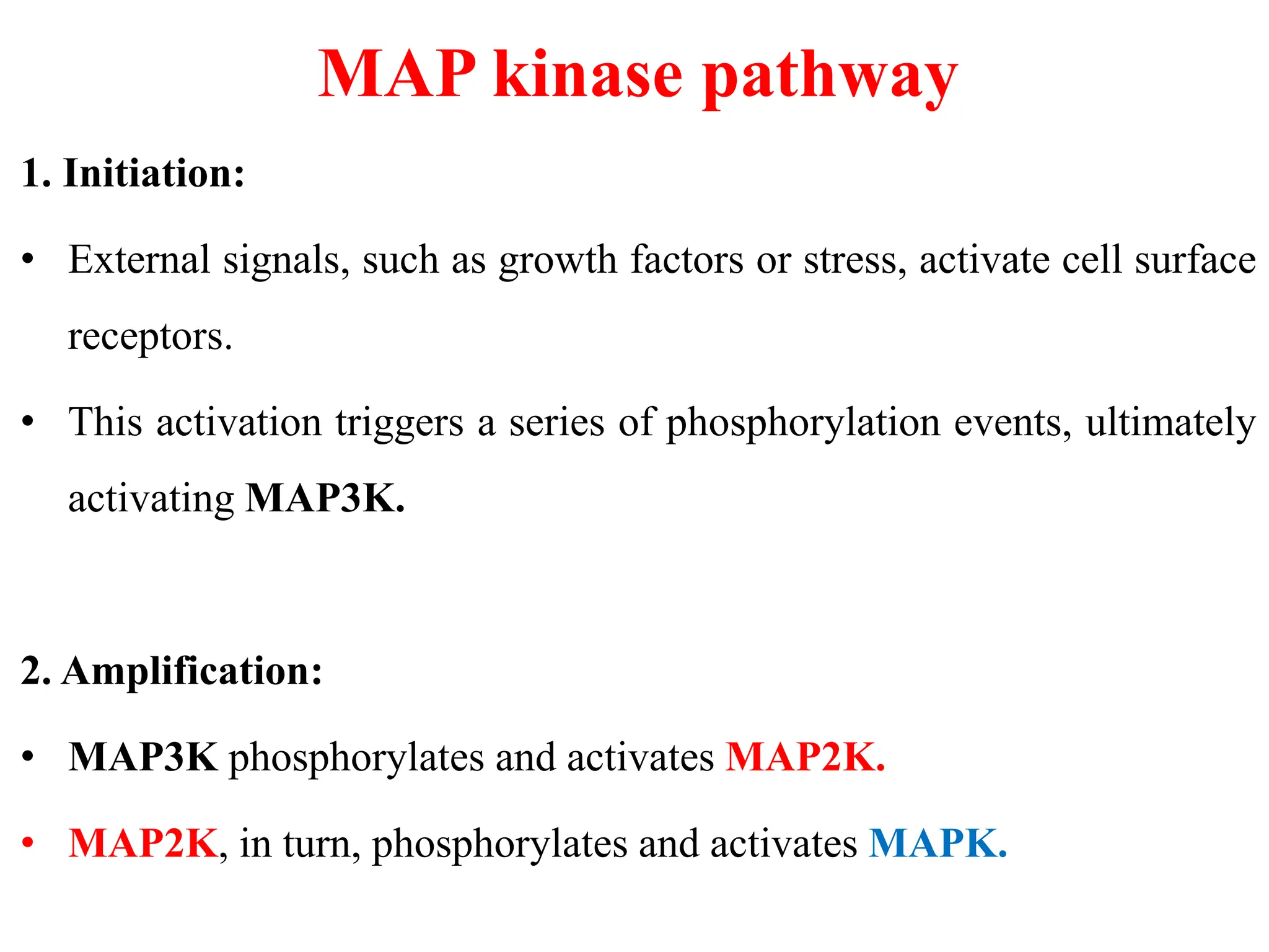 AMP Kinease.pptx............................... | PPTX