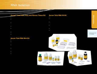 Bio-Rad Amplification Reagents | PDF