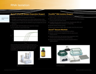 Bio-Rad Amplification Reagents | PDF