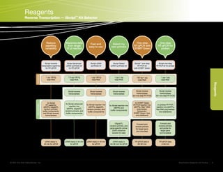 Bio-Rad Amplification Reagents | PDF