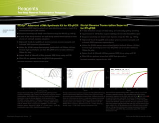 Bio-Rad Amplification Reagents | PDF