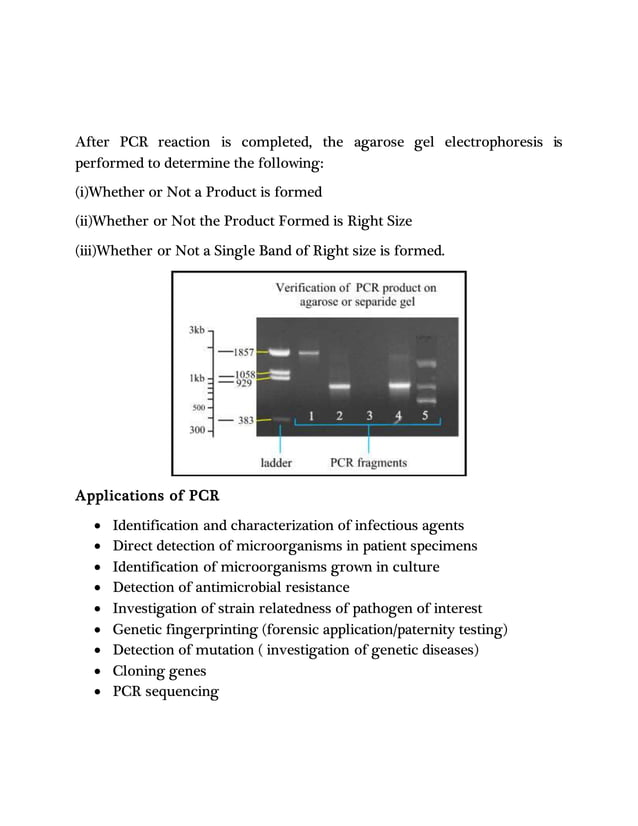 Amplification of gene using PCR | DOCX