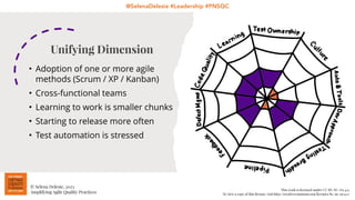 Amplifying Agile Quality Practices | PDF