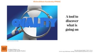 Amplifying Agile Quality Practices | PDF
