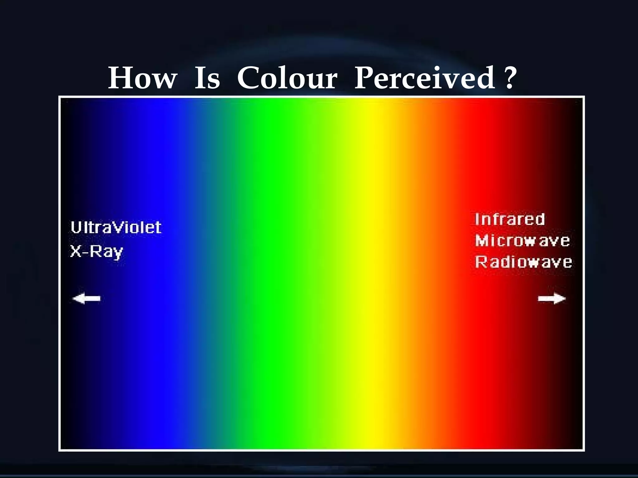 Amplify series.Colour Deepening Agents,Colour Depth enhancing agent | PPS
