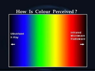 Amplify series.Colour Deepening Agents,Colour Depth enhancing agent | PPS