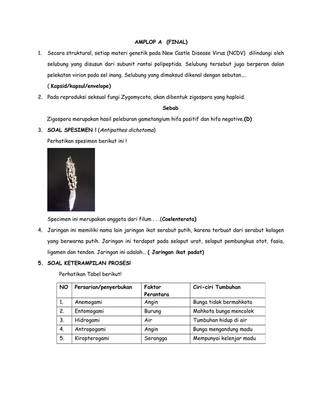 Soal Amplop "a" Lomba Cepat Tepat Biologi BFUB 2015 | DOC