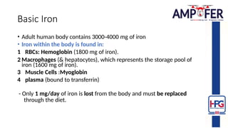 Ampofer training iron deficiency anaemiamanagement2024.pptx