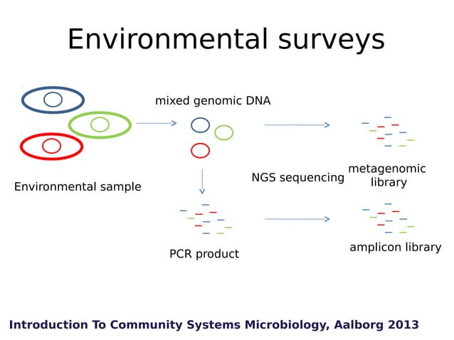 Amplicon Sequencing Introduction | PDF | Biological Sciences | Science
