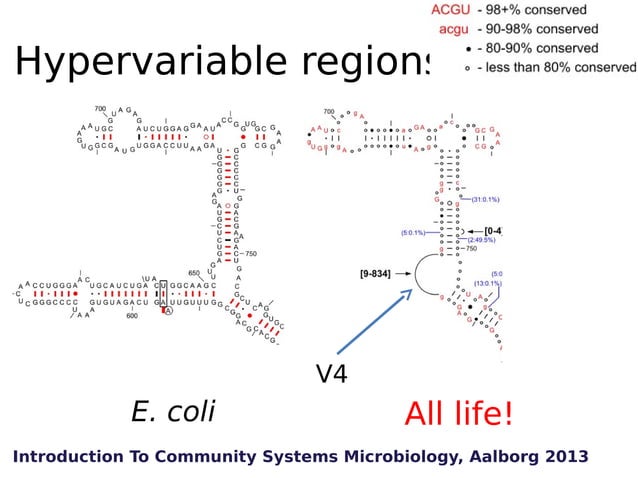 Amplicon Sequencing Introduction | PDF | Biological Sciences | Science