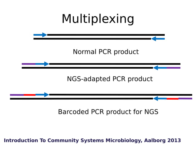 Amplicon Sequencing Introduction | PDF | Biological Sciences | Science