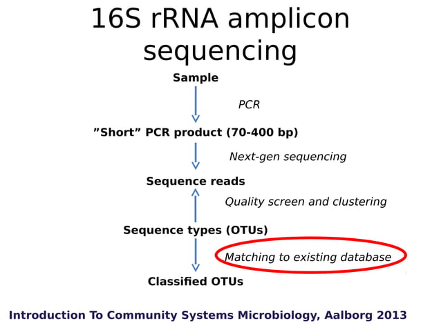 Amplicon Sequencing Introduction | PDF | Biological Sciences | Science