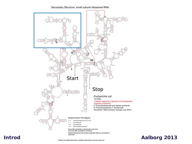 Amplicon Sequencing Introduction | PDF | Biological Sciences | Science