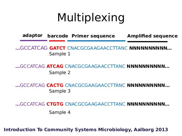 Amplicon Sequencing Introduction