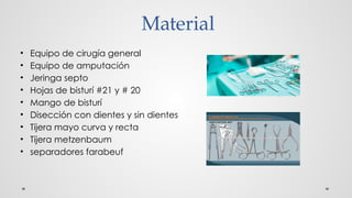 Amputacion Supracondilea, describe paso a paso con la técnica ...