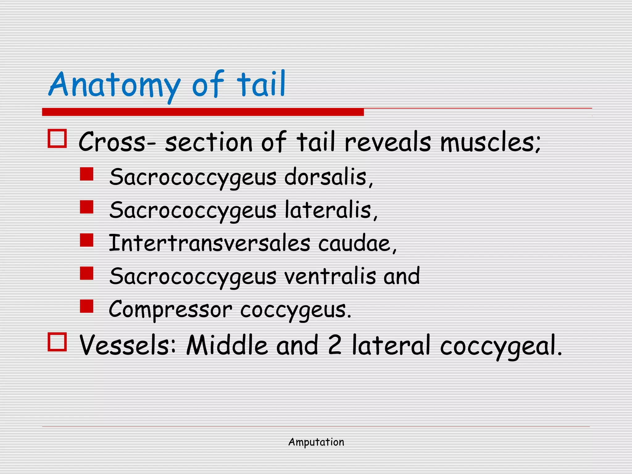Amputation | PPT