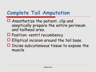 Amputation | PPT