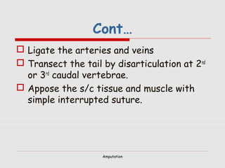 Amputation | PPT