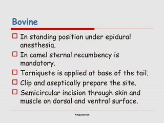 Amputation | PPT