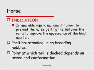 Amputation | PPT