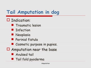 Amputation | PPT