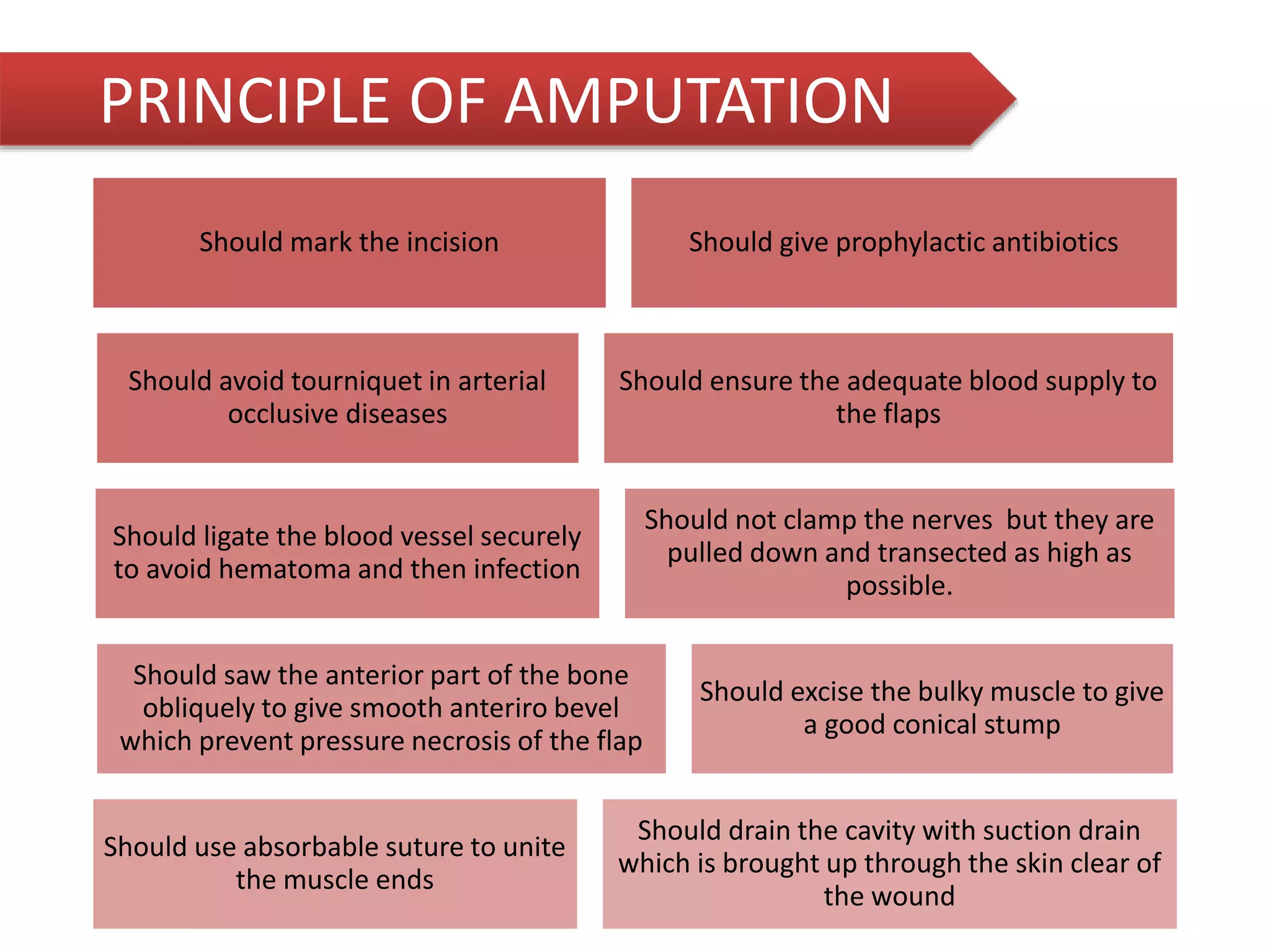 Amputation Orthopaedics | PPTX