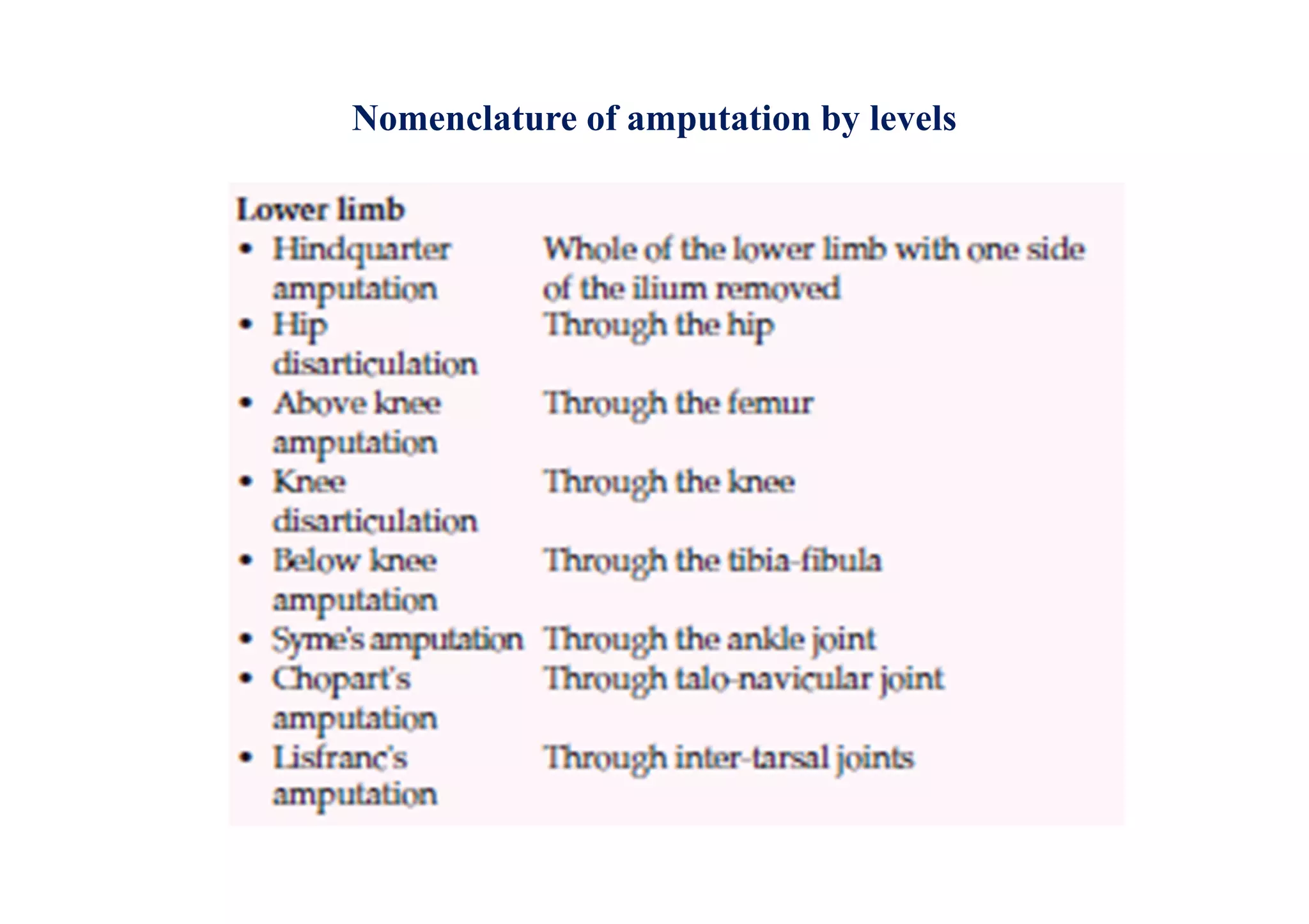 Amputation | PDF